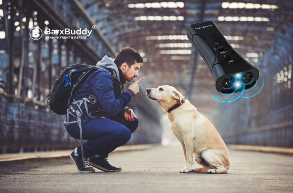 Training My Dog On The Road With My BarxBuddy Training Device - Nomadic ...